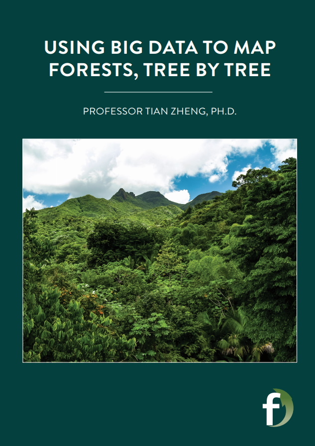 Department of Statistics - Using Big Data to Map Forests, Tree by Tree ...